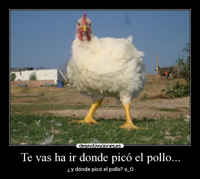 Te vas ha ir donde picó el pollo... | Desmotivaciones